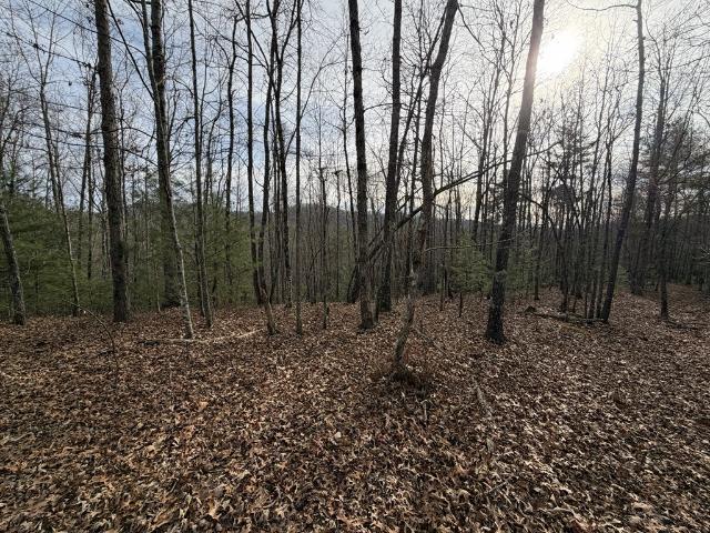 56.6 ac Cutcane Rd, Mineral Bluff, GA 30559 | MLS #420942 | Compass