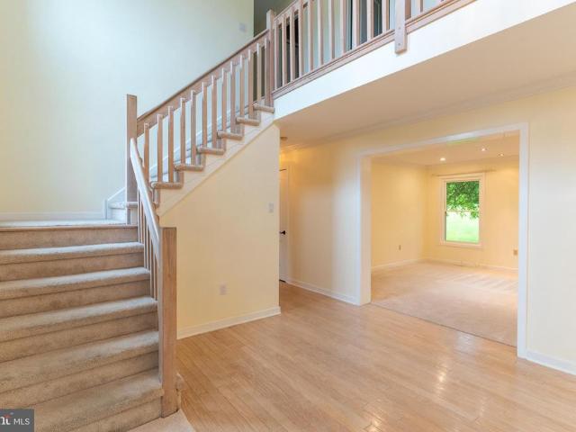 56 W Windrose Drive