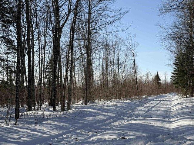 56 Acres Halverson Rd, Skandia, MI 49885