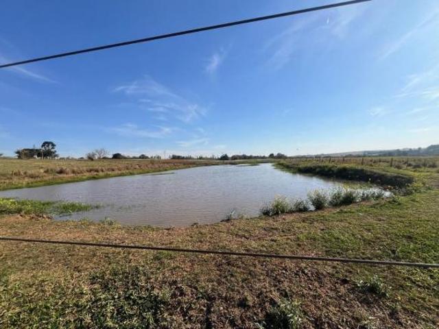 56 alqueires em Itapetininga 25 em grama esmeralda Restante em pasto Três represas Terreno plano