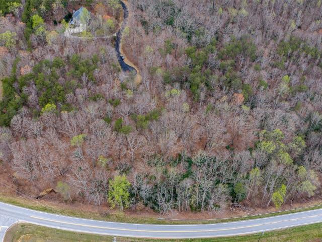 56 Angleblade Rd, Landrum, SC 29356 | MLS #1583