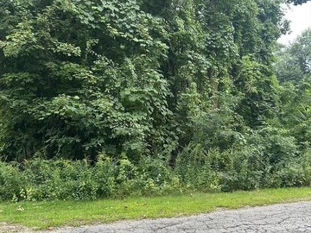 56 Birch Hill Rd, Douglas, MA 01516