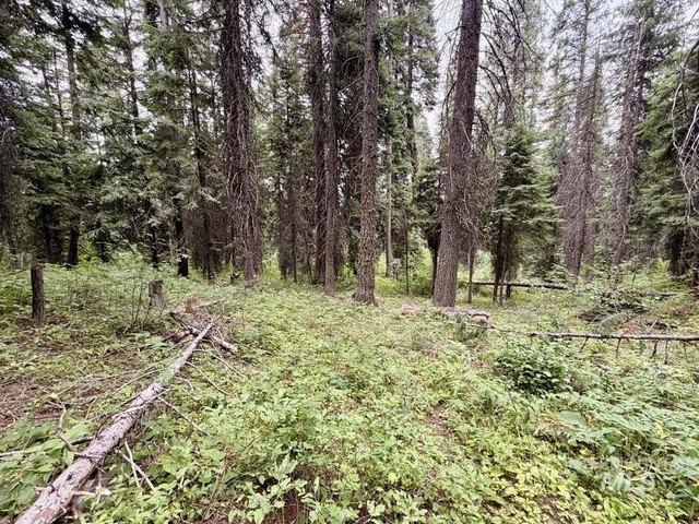 56 Burnt Wagon Trl, Donnelly, ID 83615