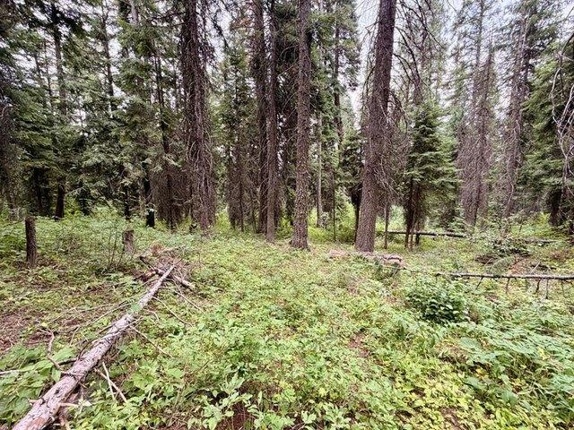 56 Burnt Wagon Trl Lot 5, Donnelly, ID 83615