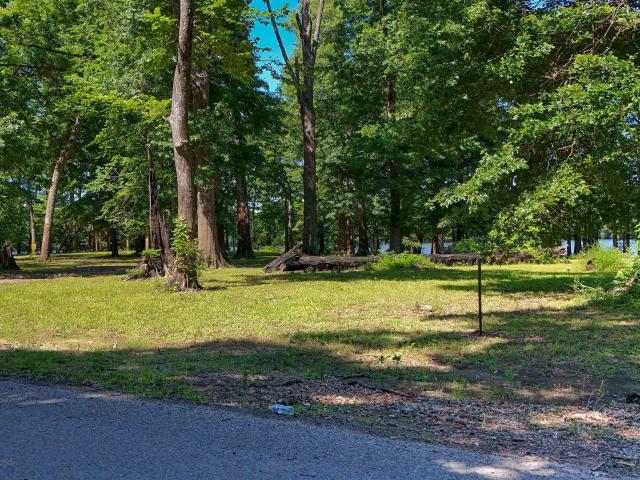 56 chisholm lake rd