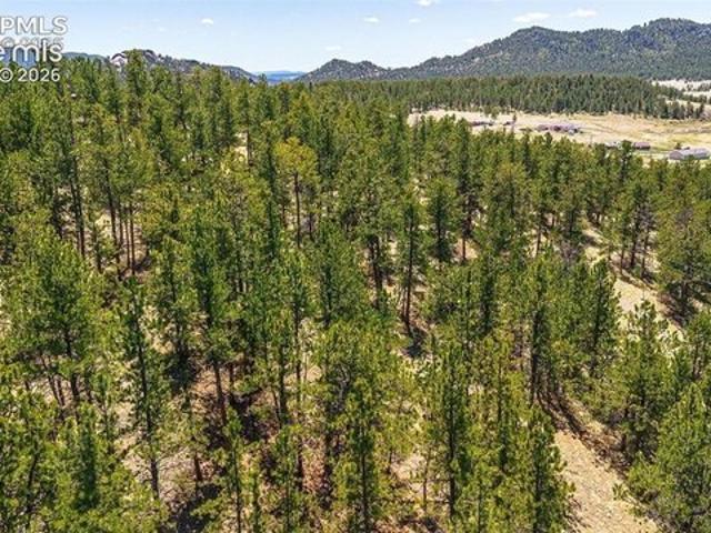 56 Dallas Park Cir, Florissant, CO 80816