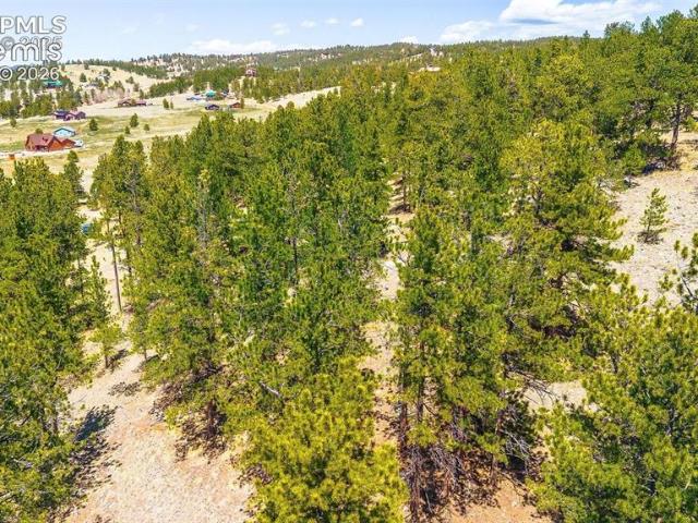 56 Dallas Park Cir, Florissant, CO 80816 | MLS #4494