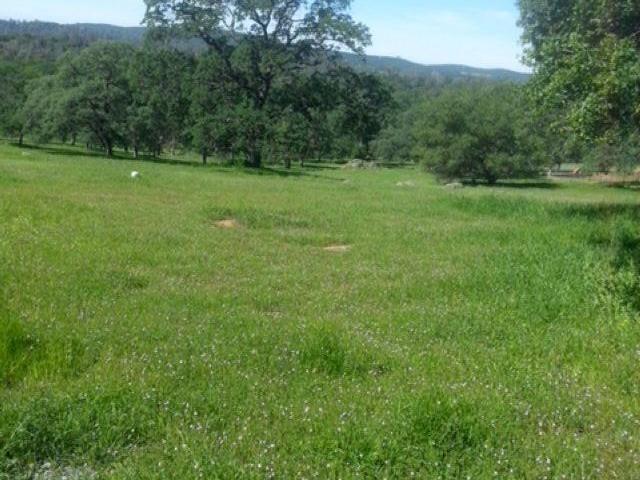 56 Deer Hollow Trail