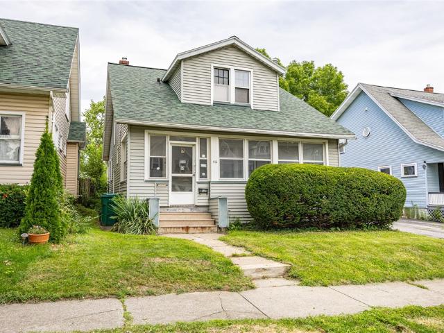 56 Falstaff Road