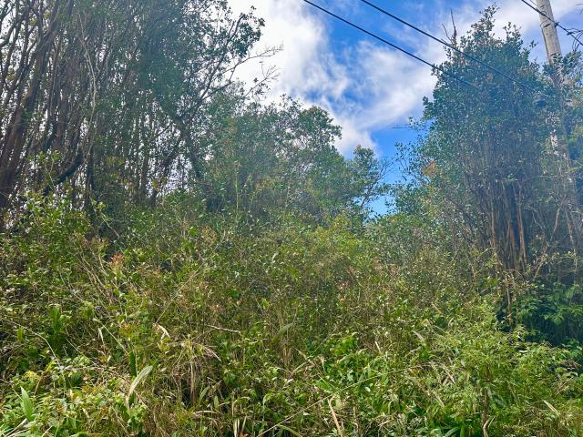 56 Maunalani Tract Rd, Mountain View, HI 96771 | MLS #729693