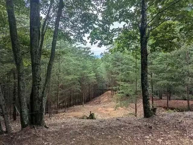 56 Oglethorpe Mountain Trail, Jasper, GA 30143 MLS 7425458