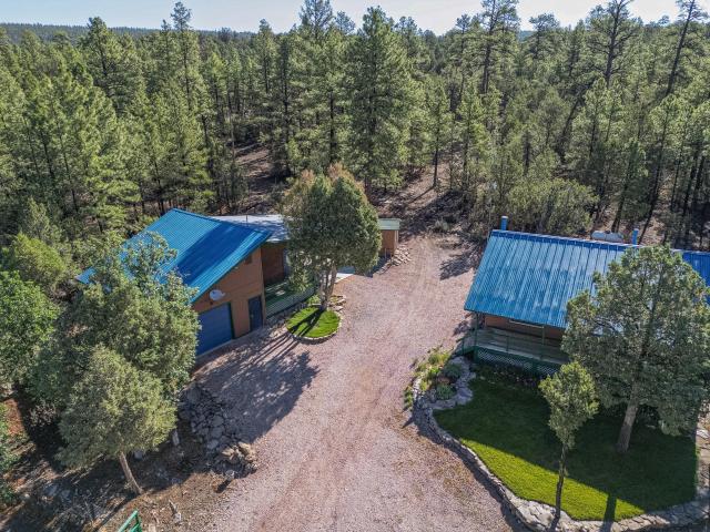 56 Pinetree Road