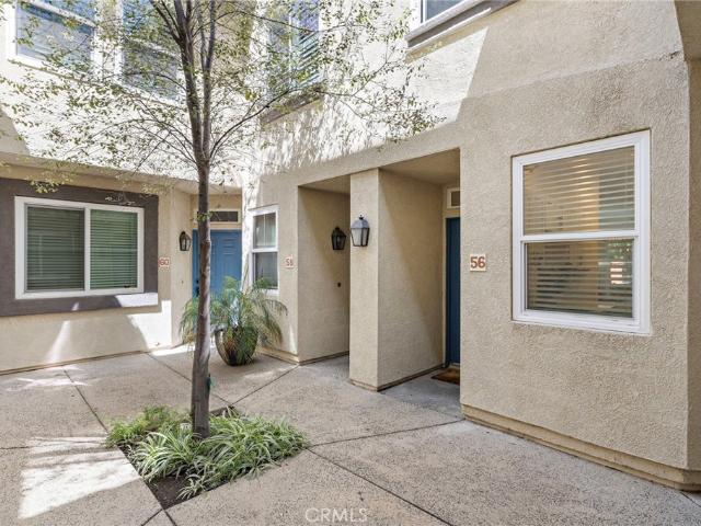 56 Sagebrush
