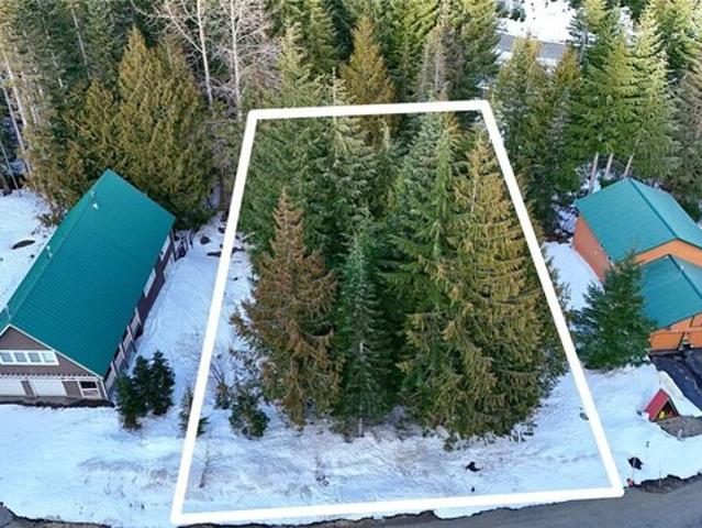 56 Snoqualmie Dr Lot 56, Snoqualmie Pass, WA 98068