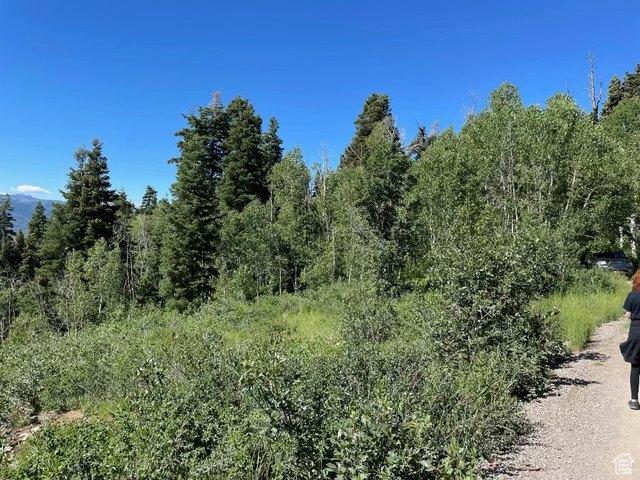 56K Quaking Pine Cir Unit K56, Fairview, UT 84629
