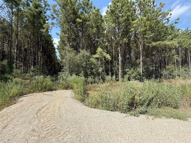 5700 Black Cat Road