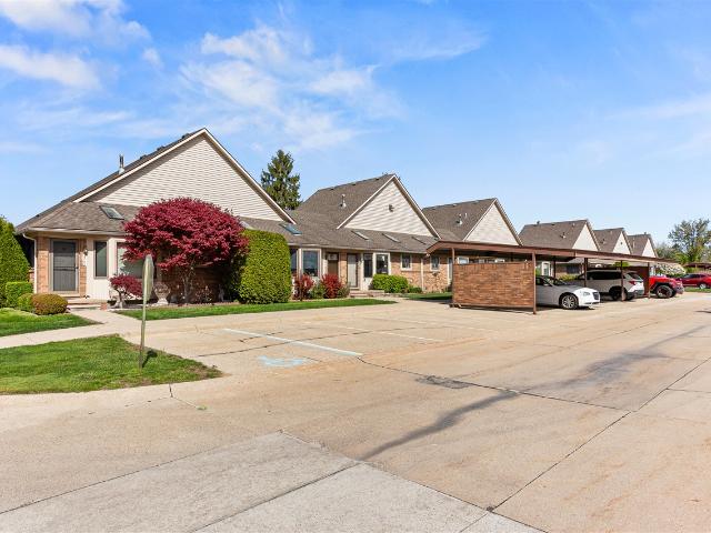 57187 Silver Maple