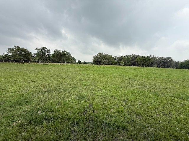 5719 1 Farm to Market Rd # 2238, Schulenburg, TX 78956