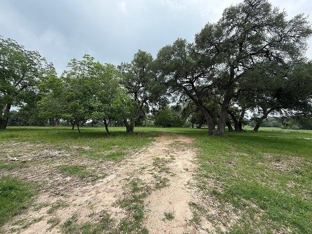 5719 4 Farm to Market Rd # 2238, Freyburg, TX 78956