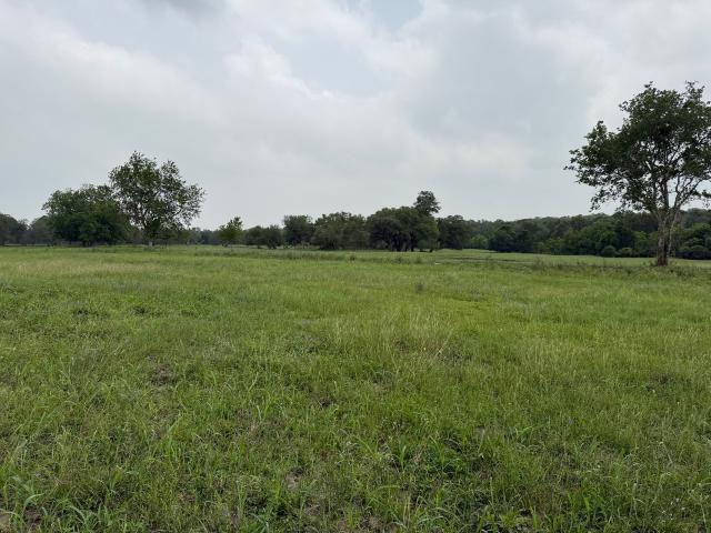 5719 5 Farm to Market 2238