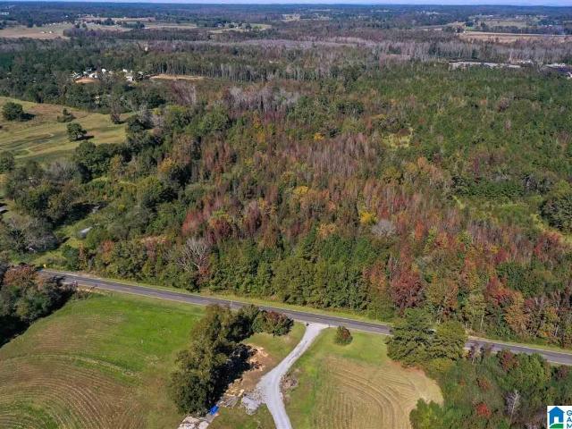 5710 County Road 754 # 2 parcels