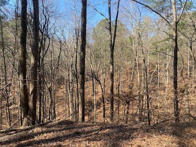 571 572 Galaxy Way Lots 571 & 572, Ranger, GA 30734
