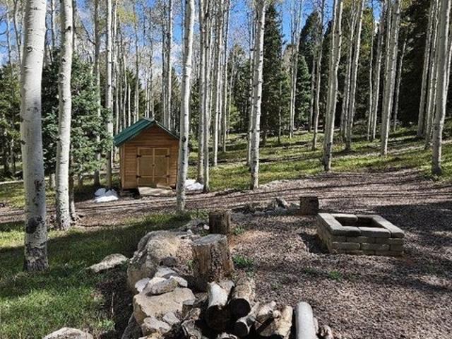 571 Crest Dr, Cimarron, CO 81220