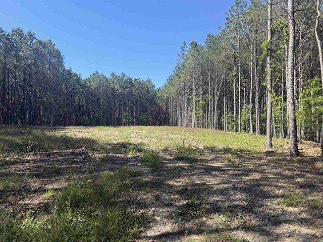 571 Sthil Rd, Hot Springs, AR 71901