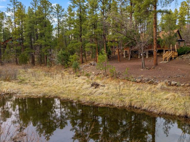 571 Pine Shadow Drive
