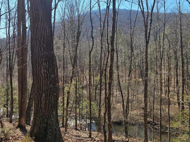 Old Us Highway 322 # LOT 4