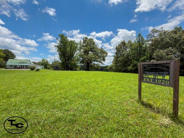 5725 Old Friendship Rd, Finger, TN 38334