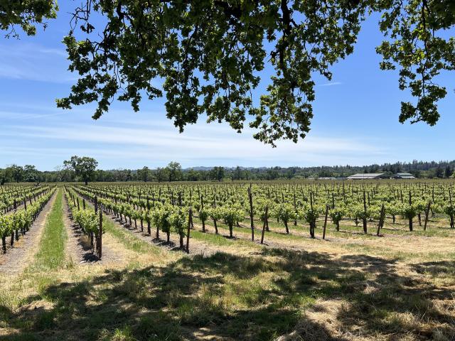 5726 Hall Road, Santa Rosa, US, CA