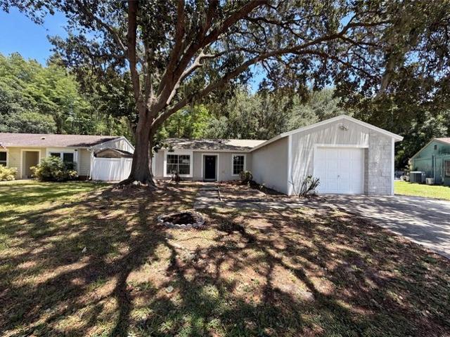 5720 Kneeland Ln, Tampa, FL 33625