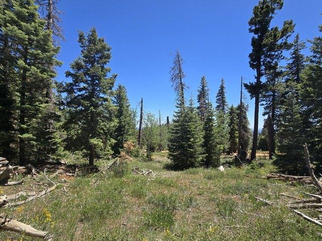 5720 W North Fork Rd, Duck Creek Village, UT 84762