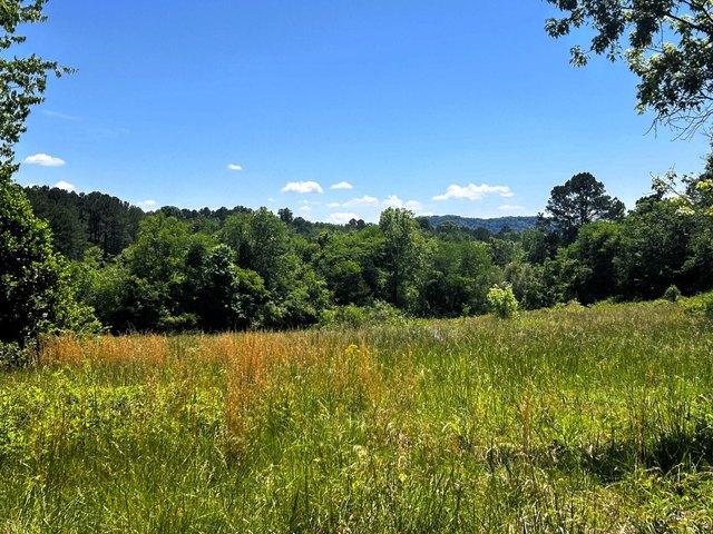 573 S Judd Rd, Decatur, TN 37322