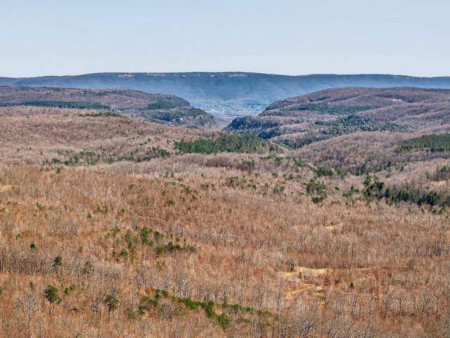 573AC Daus Mountain Rd