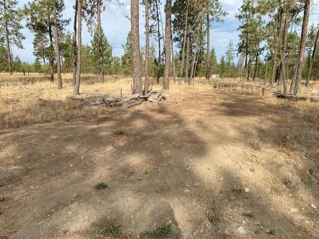 5742 J Corkscrew Canyon Rd, Tumtum, WA 99034 | MLS #202619