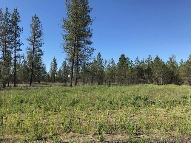 5742J Corkscrew Canyon Rd, Tumtum, WA 99034
