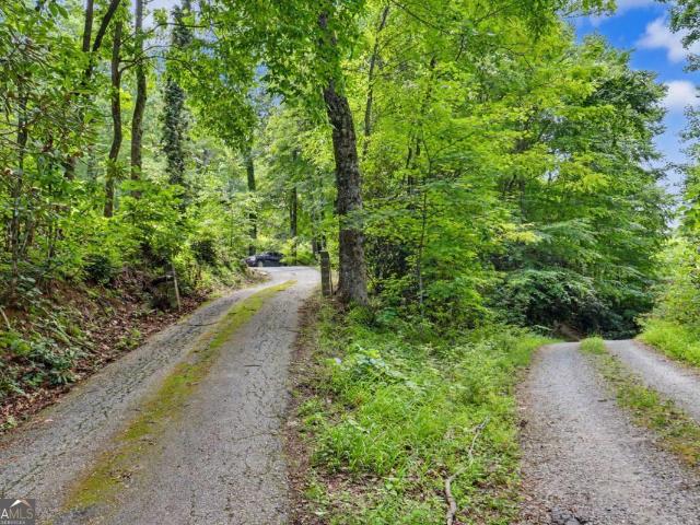 574 Bachelors Button Drive
