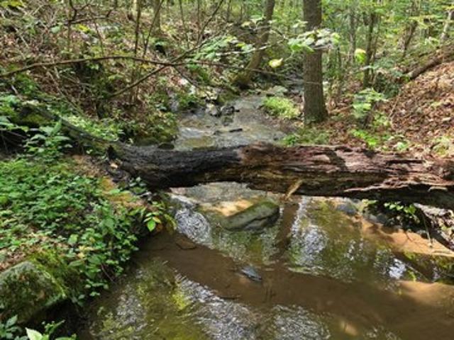 574 Mountain Slope Ln, Fort Valley, VA 22652