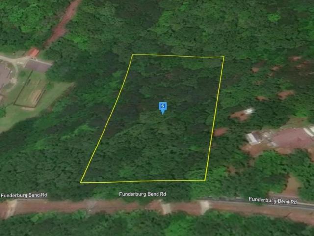 575 Funderburg Bend Road #