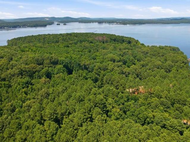 575 John Cabaniss Rd, Langston, AL 35755