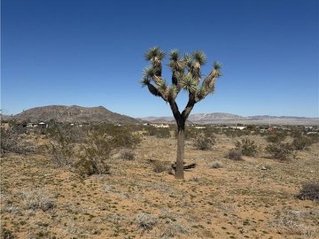 575 N Covelo Ave, Landers, CA 92285