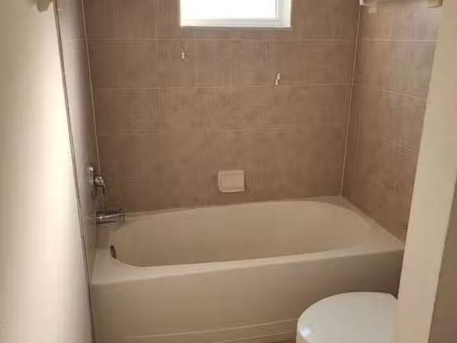 57674622 20424 Needletree Dr