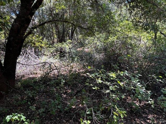 5768 Vallejo Ave, Clearlake, CA 95422
