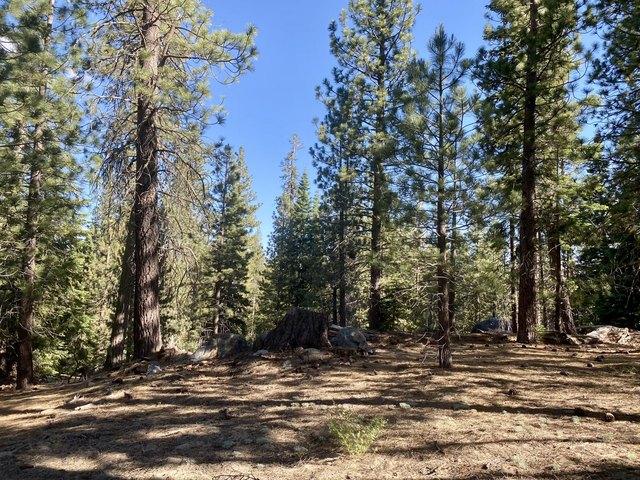 57600 Crest Dr, Springville, CA 93265