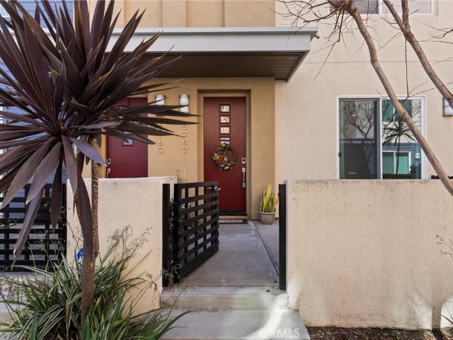5762 Acacia