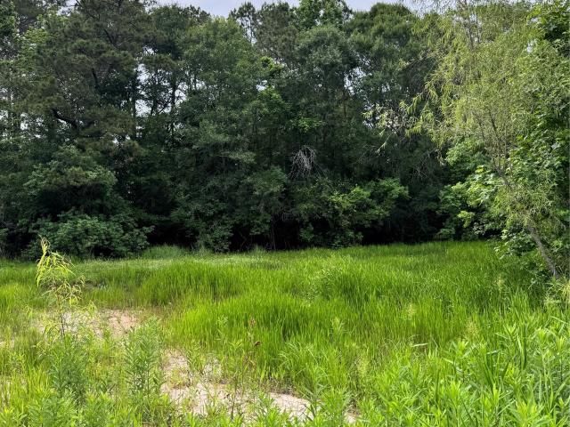 576 County Road 3773