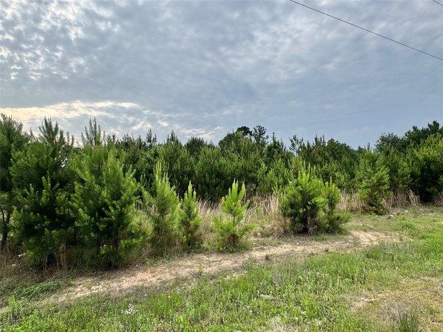 576 County Road 3773, Cleveland, TX 77327