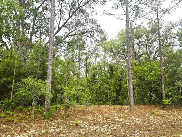 576 E Nemo Dr, Dunnellon, FL 34434 | MLS #TB8502